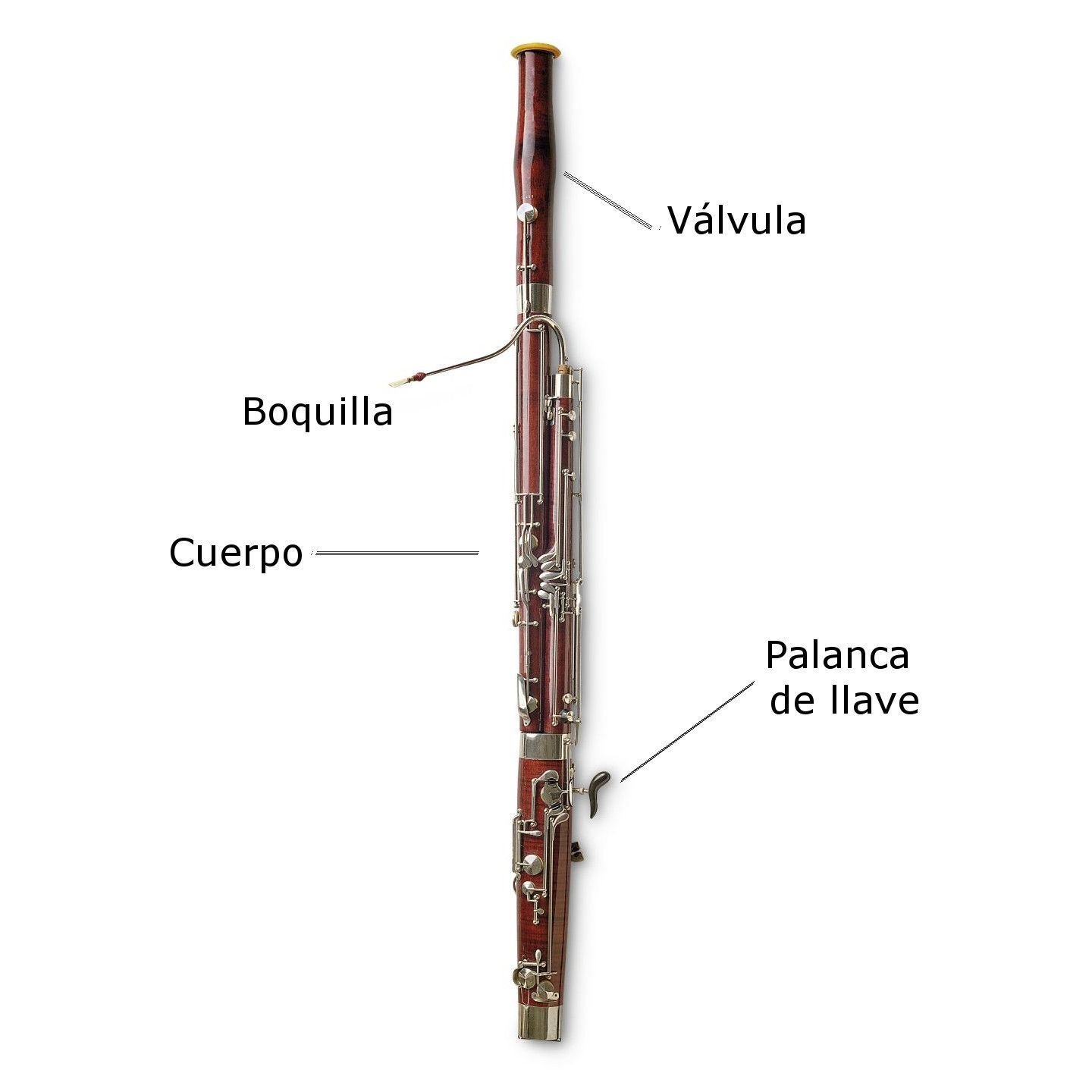 Fagot – Escola de Música i Dansa d'Altea · EsMuAltea · Escuela de ...