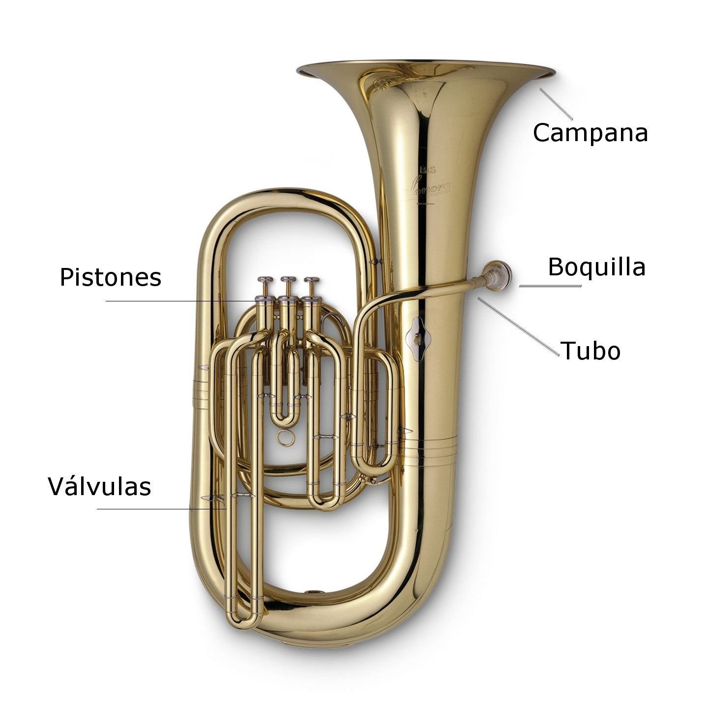 Tuba – Escola de Música i Dansa d'Altea · EsMuAltea · Escuela de Música ...